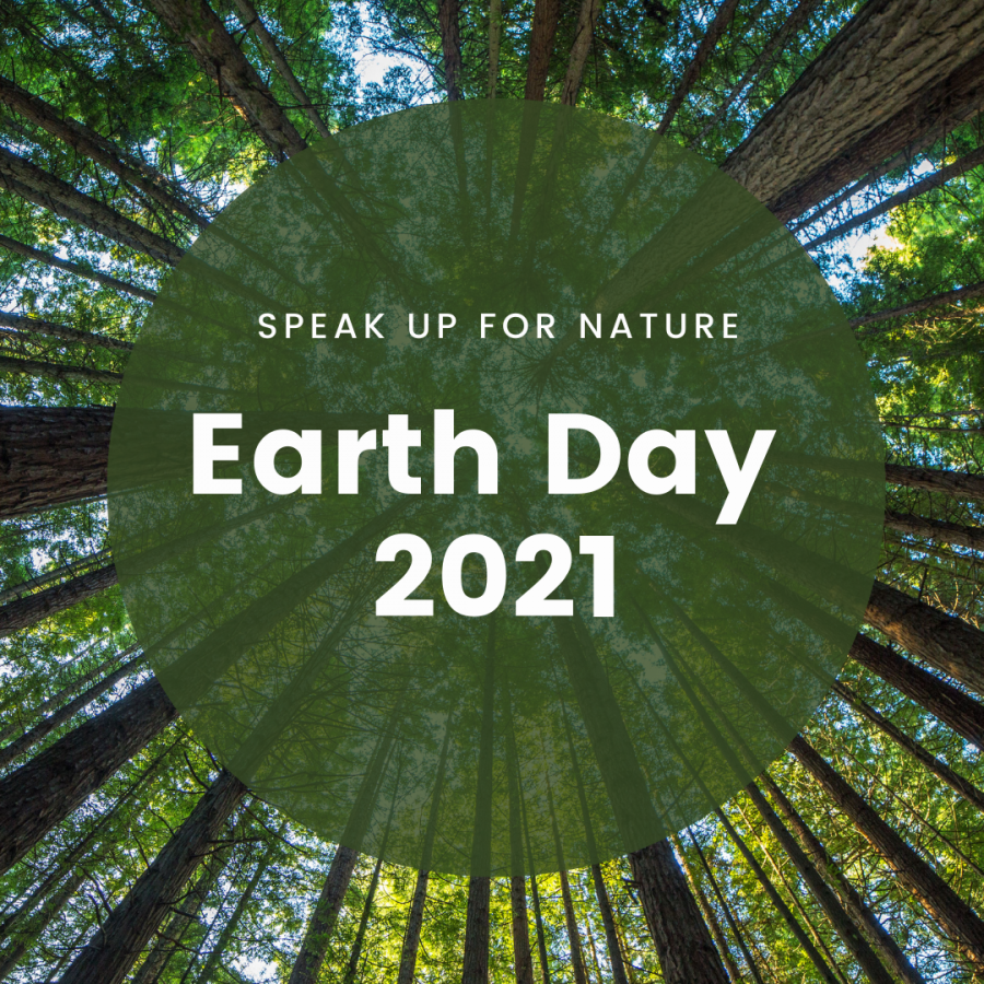 Make the world a colourful place this Earth Day - Colour World